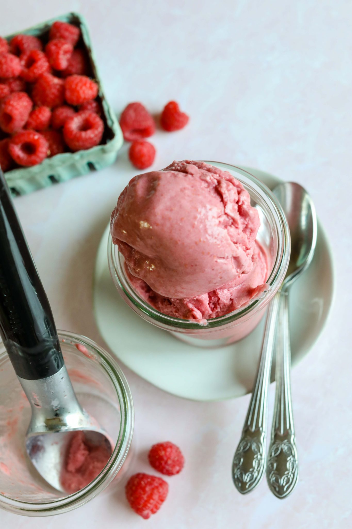 Vegan Raspberry Sorbet - Flora & Vino