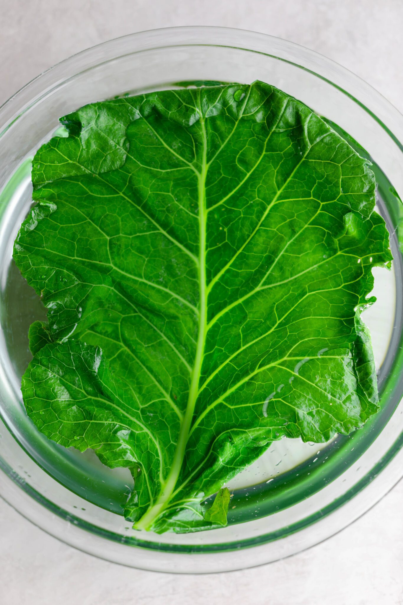 Collard Green Enchiladas Recipe with rice and beans - Flora & Vino